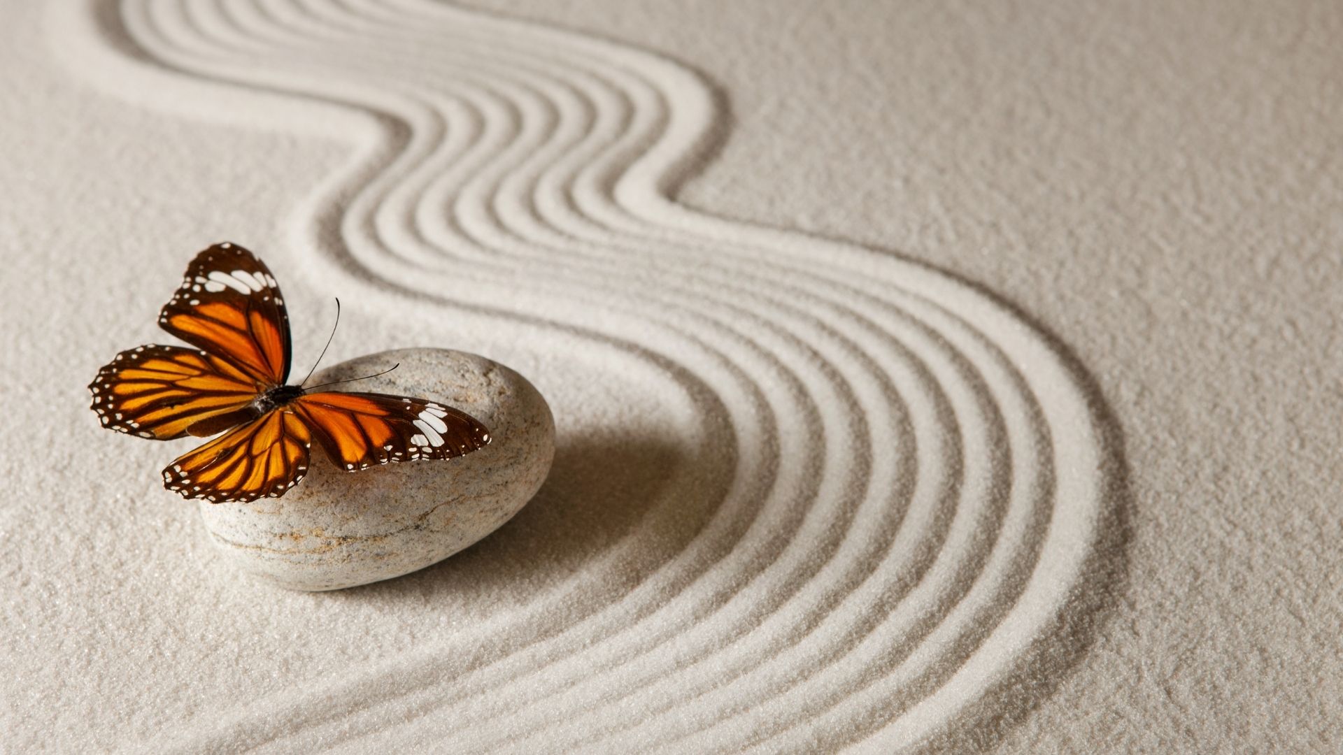 Is being a social butterfly the only way to thrive in networking ...