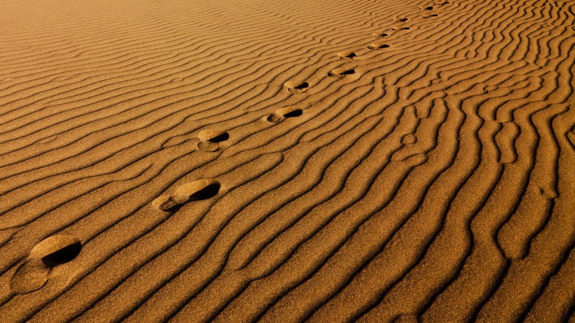 Sense of loneliness and emotional connection - Morphoziz